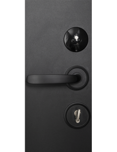 SMART DOOR- welcome to a new world | RB-DOORS